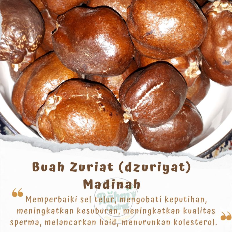 Jual 500 gr Buah Dzuriat Single Madinah / Buah Zuriat / Buah Doum ...