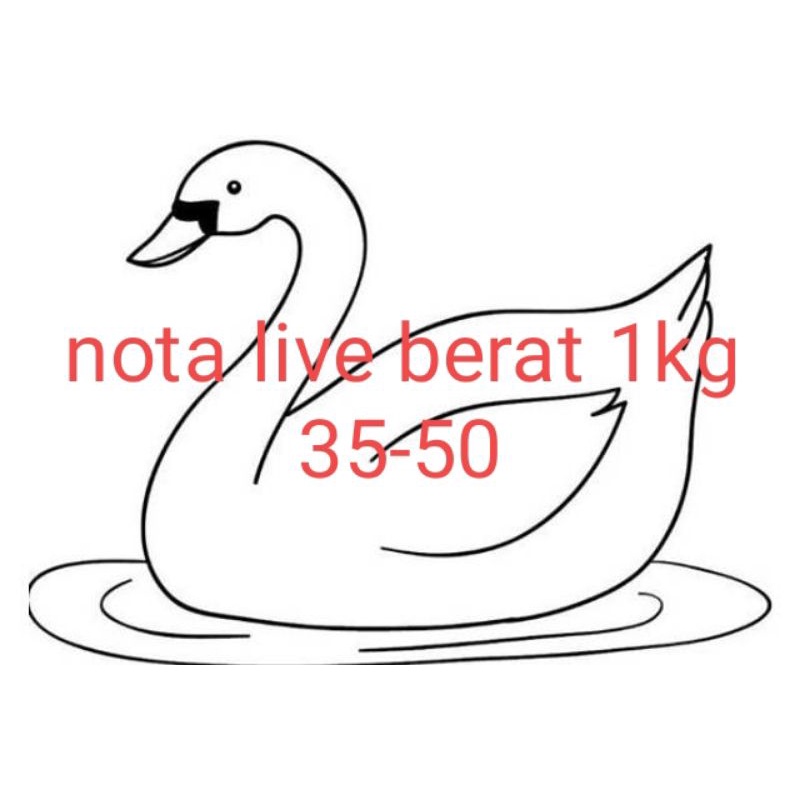 Jual 35 ribu-50 ribu | Shopee Indonesia