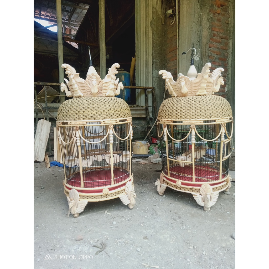 Jual Sangkar Kutut Mahkota Merak Tebalan | Shopee Indonesia