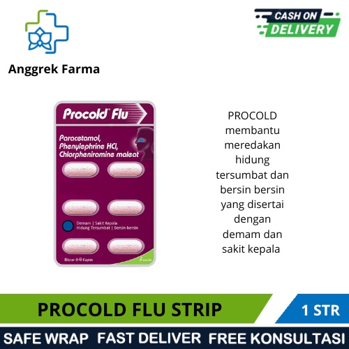 Jual PROCOLD FLU 6 TABLET/OBAT HIDUNG TERSUMBAT/BERSIN BERSIN/SAKIT ...
