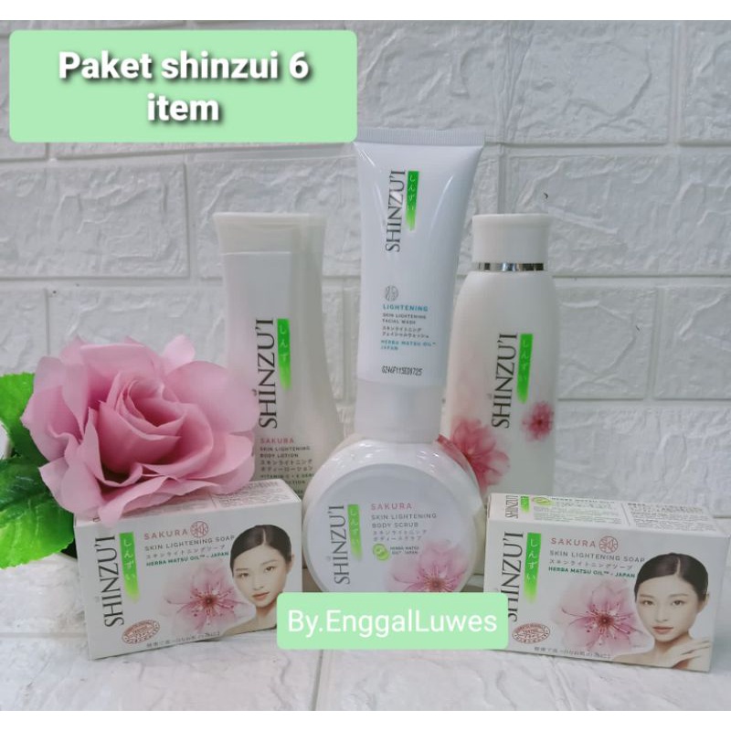 Jual PAKET SHINZUI 6 item/PAKET SHINZUI FACIAL WASH 80ML | Shopee Indonesia