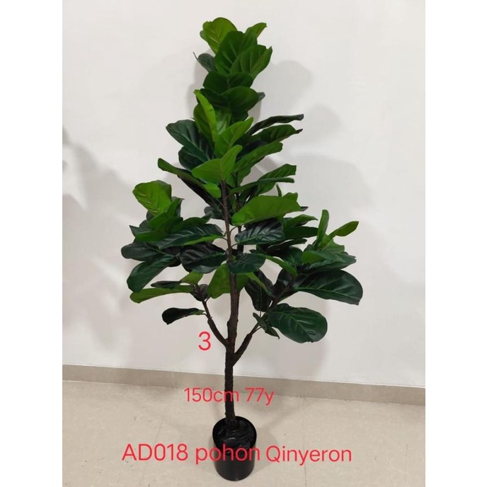 Jual POHON KETAPANG BIOLA/KETAPANG ARTIFICIAL/BUNGA HIAS/TANAMAN HIAS ...