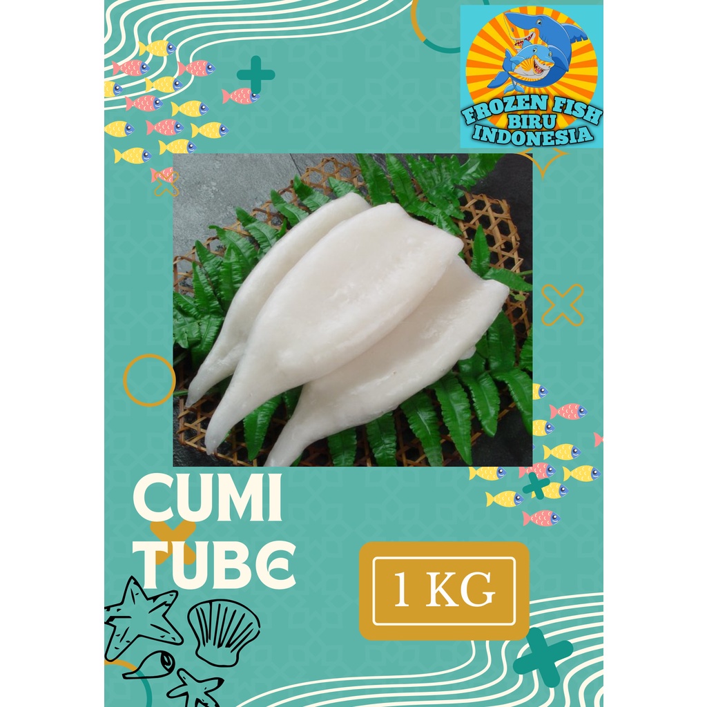 Jual CUMI-CUMI TUBE 1KG FROZEN SEGAR | Shopee Indonesia