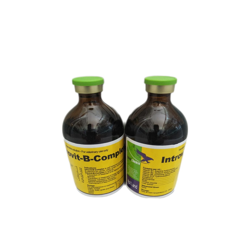 Jual TMC / Introvit B Complex / 100 ml / Injeksi Vitamin B Kompleks ...