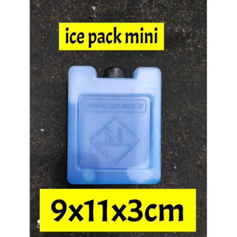 Jual Ice Pack Mini 11x9x3cm Blue Ice Gel Thermafreeze | Shopee Indonesia