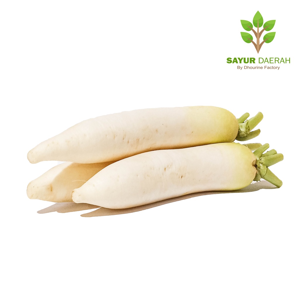 Jual Lobak 1 Kg | Sayur Daerah | Shopee Indonesia