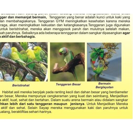 Jual SPIRAL BURUNG PARROT "S" 150 Cm parkit cockatiel hingga sun conure ...