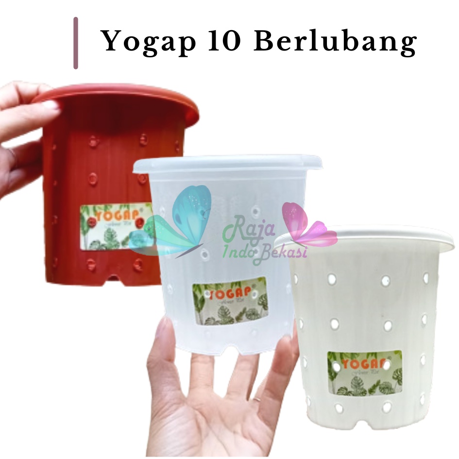 Jual Pot Yogap 10 BERLUBANG Putih Bening Transparan Merah Bata Merah ...