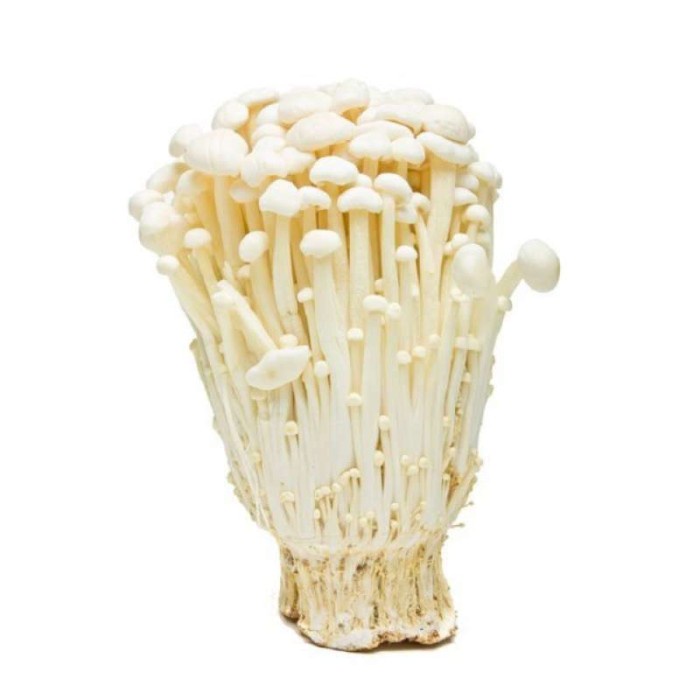 Jual JAMUR ENOKI, JAMUR SHIMEIJI COKELAT, JAMUR SHIMEIJI PUTIH 1 PACK ...