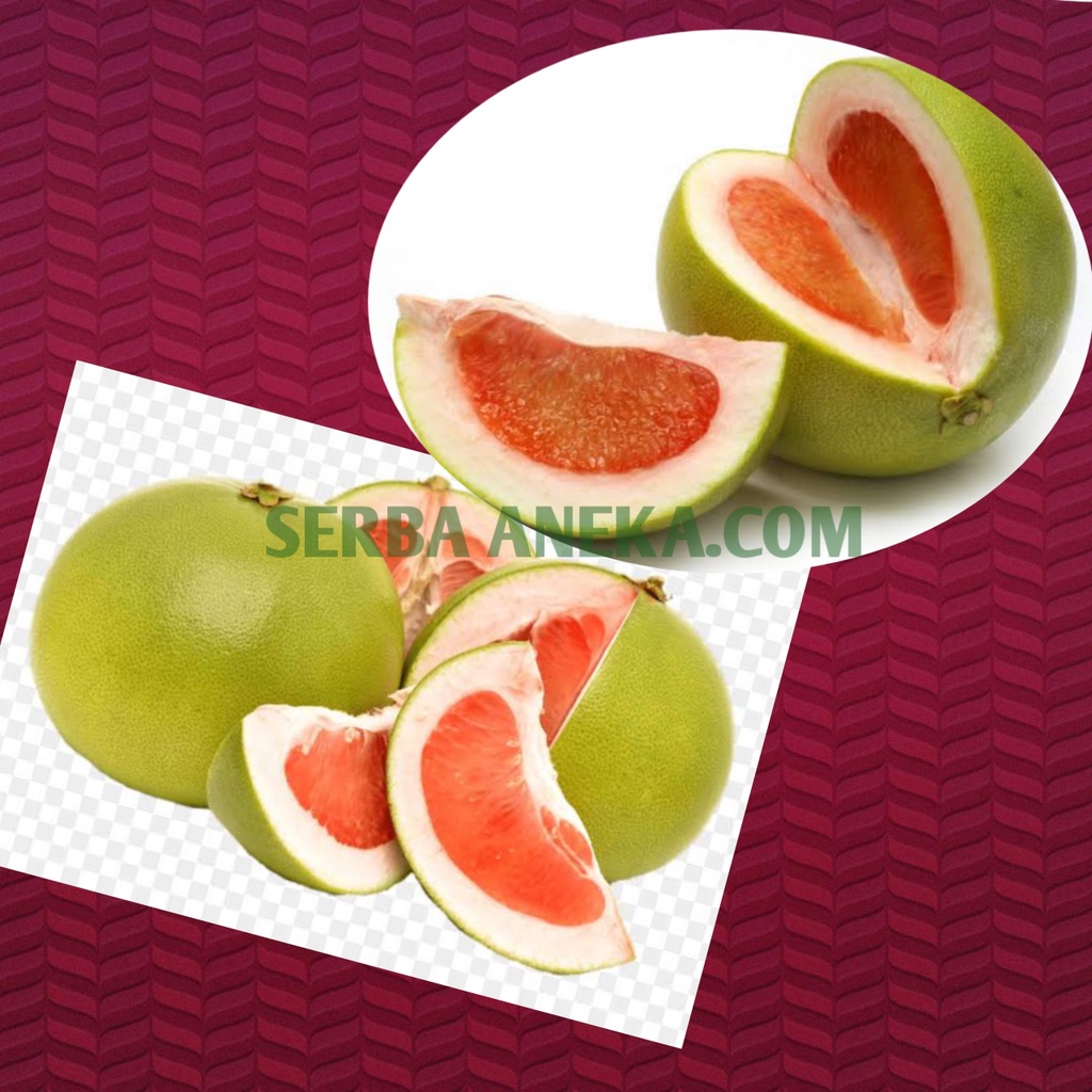 Jual Jeruk Palmelo Merah /Buah Jeruk Bali ( Per Biji) | Shopee Indonesia