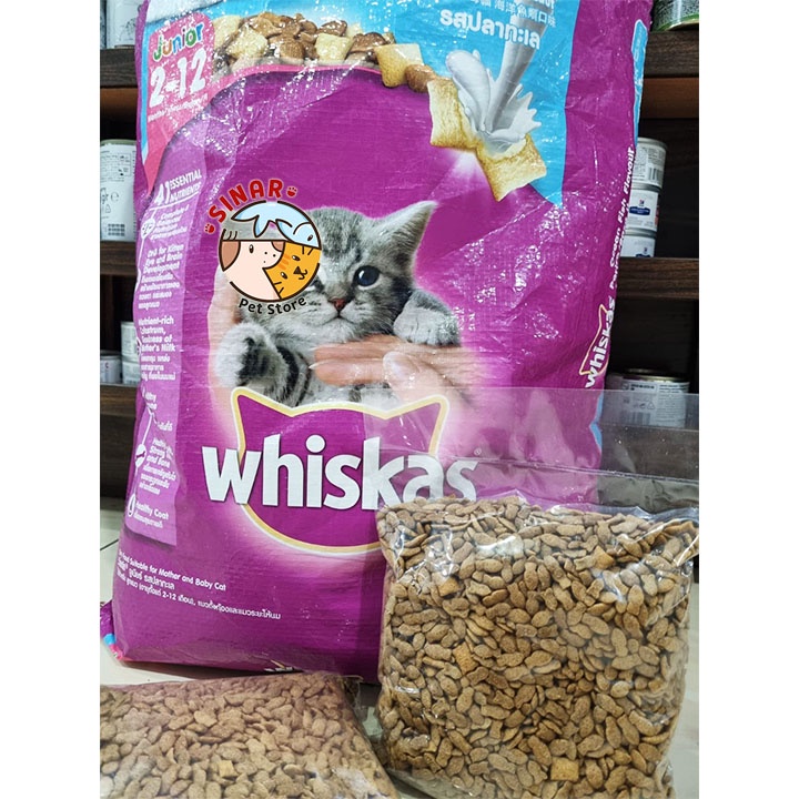 Jual Whiskas Junior Ocean Fish 500GR Makanan Anak Kucing Kitten Cat ...