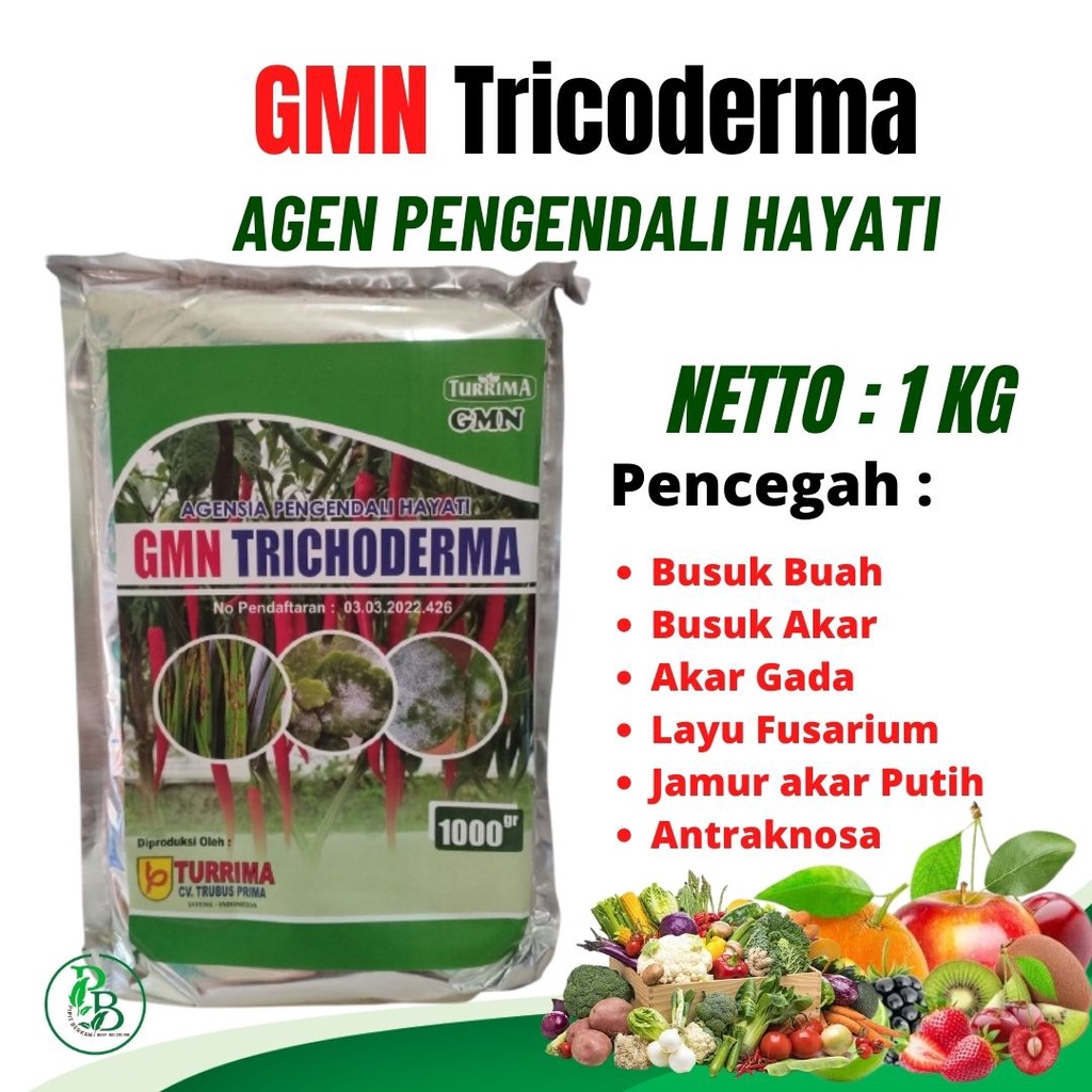 Jual PUPUK tricoderma padat untuk mengatasi busuk akar dan buah, Fungisida Hayati Trichoderma ...