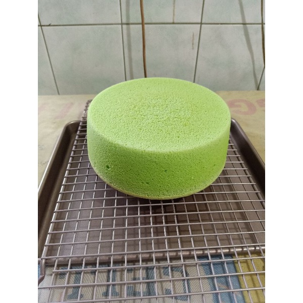 Jual ogura pandan Polos sz.20cm | Shopee Indonesia