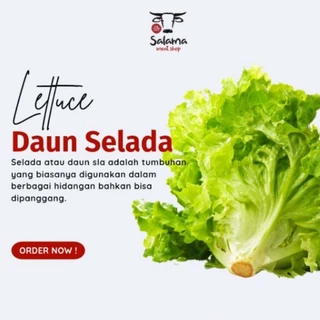 Jual Selada Terlengkap & Harga Terbaru Maret 2026 | Shopee Indonesia
