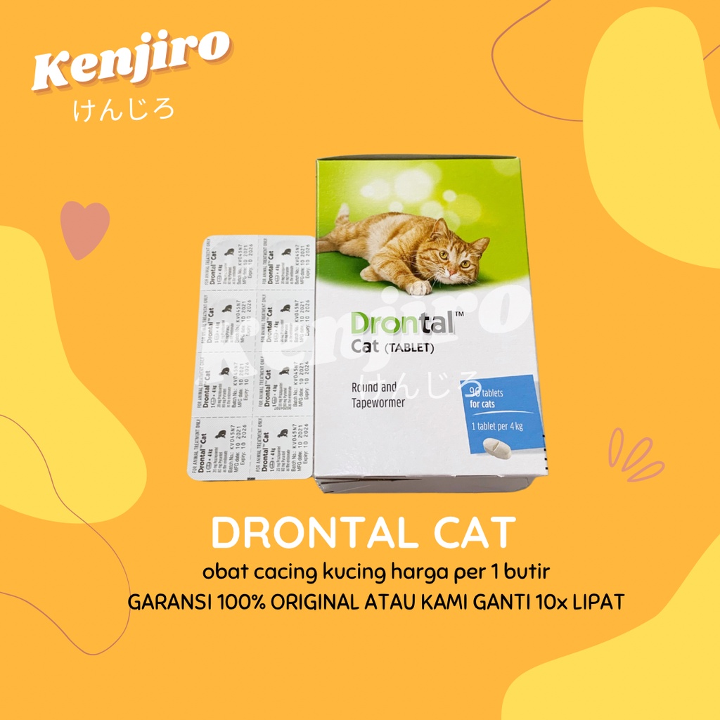 Jual DRONTAL CAT KUCING 1 TABLET - Obat Cacing Hewan Kucing Cat Kitten ...