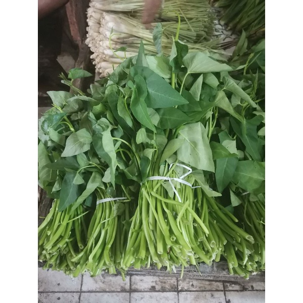 Jual ANEKA SAYURAN SEGAR DAUN DAUNAN | Shopee Indonesia