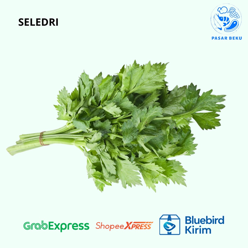 Jual Daun Seledri per ikat Sayuran Segar Penyedap Pasar Beku Padang ...