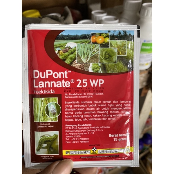 Jual Insektisida DuPont LANNATE 25 WP 15 Gram LANNATE MERAH | Shopee ... Jual Insektisida DuPont LANNATE 25 WP 15 Gram LANNATE MERAH | Shopee ...