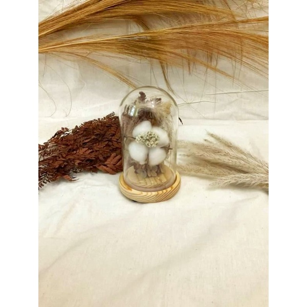 Jual Mini Preserved Flower Dome LED (Kado Bunga Kering di Dalam Kaca ...