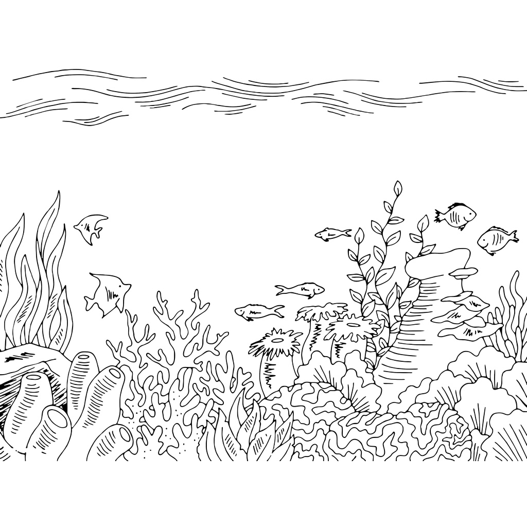 Jual Gambar Sketsa Mewarnai ~ HEWAN DAN TUMBUHAN BAWAH LAUT/ Seketsa ...