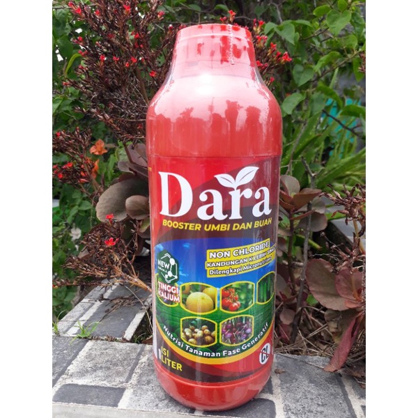 Jual Booster Umbi dan Buah Dara Tinggi Kalium non Chloride 1liter ...