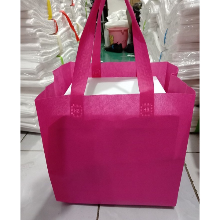 Jual Tas Spunbond membentuk BOX 25x25 (TLS 40) | Shopee Indonesia