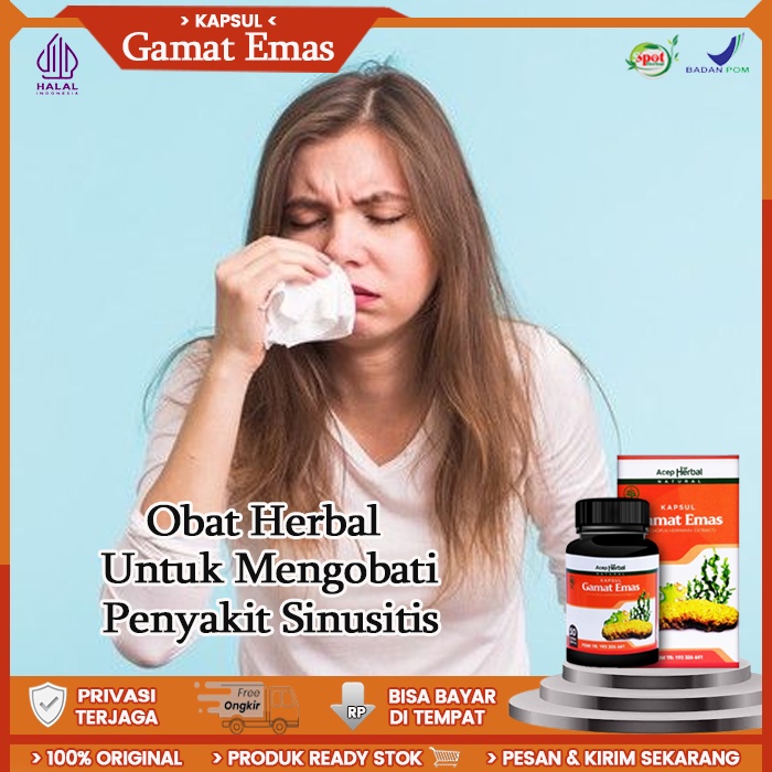 Jual Obat Sinusitis, Obat untuk Sinusitis Akut Parah, Sinusitis Kronis ...