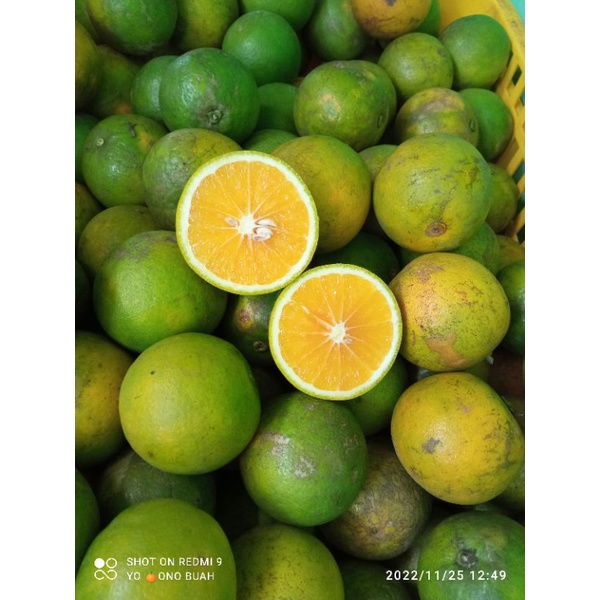 Jual Jeruk Baby Java MINI berat 1KG(kurang lebih 10buah) rasa manis ...