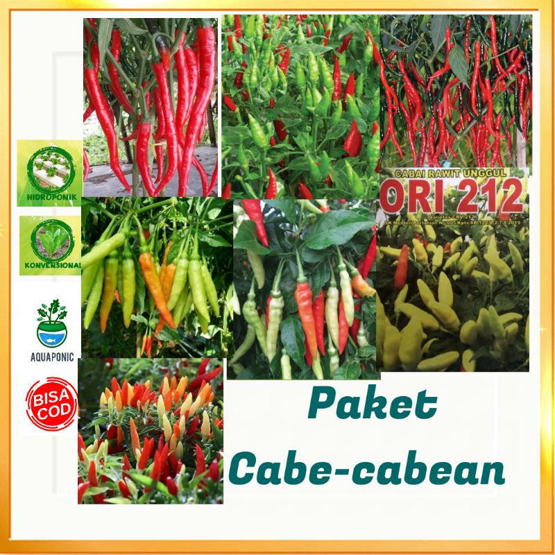 Jual Paket 7 macam Cabe cabean konsumsi + BONUS polibag semai, pupuk ...