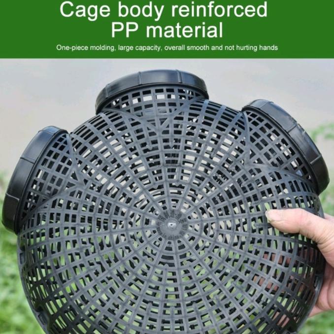 Jual Eel cage fishing cage Perangkap ikan Bubu ikan Wuwu ikan minimalis ...