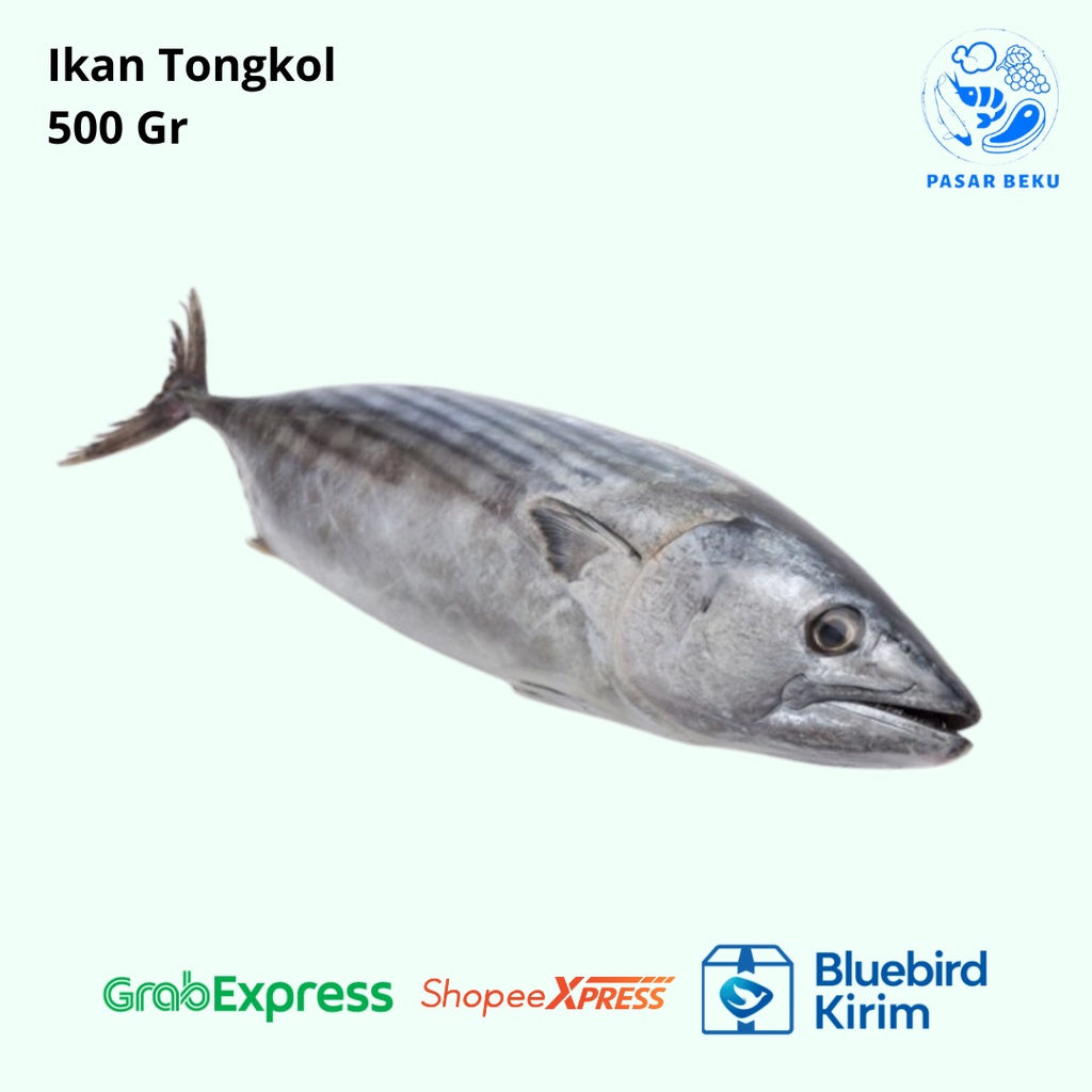 Jual Ikan Tongkol 500gr Ikan Potong Pure Daging Tanpa Kepala Fresh ...
