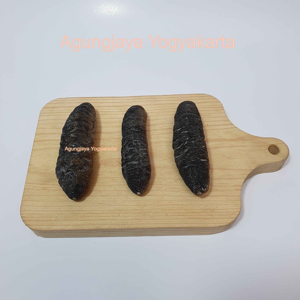 Jual Teripang Ogay / Hoisom Ogay / Timun Laut / Sea Cucumber / Haisom ...