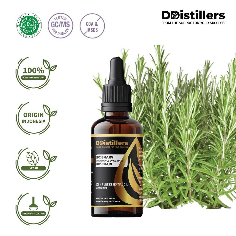 Jual Rosemary / Rosemari Essential Oil Pure 100%, 50-100ML GS | Shopee ...