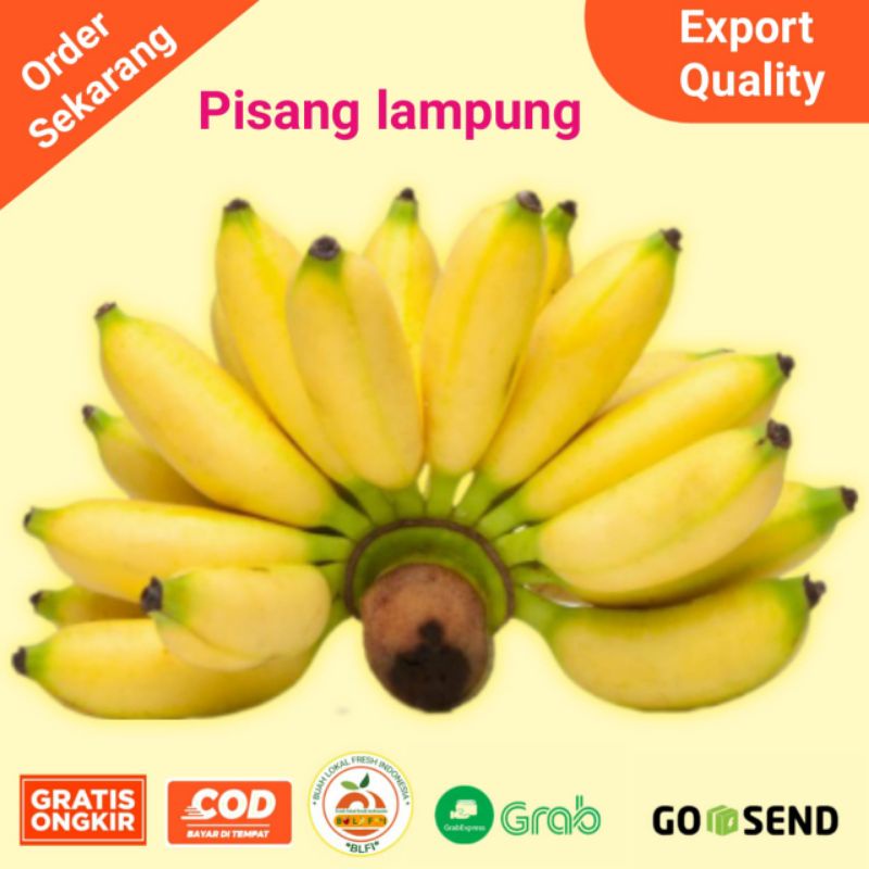 Jual PISANG LAMPUNG MANIS ASLI PER SATU SISIR | Shopee Indonesia