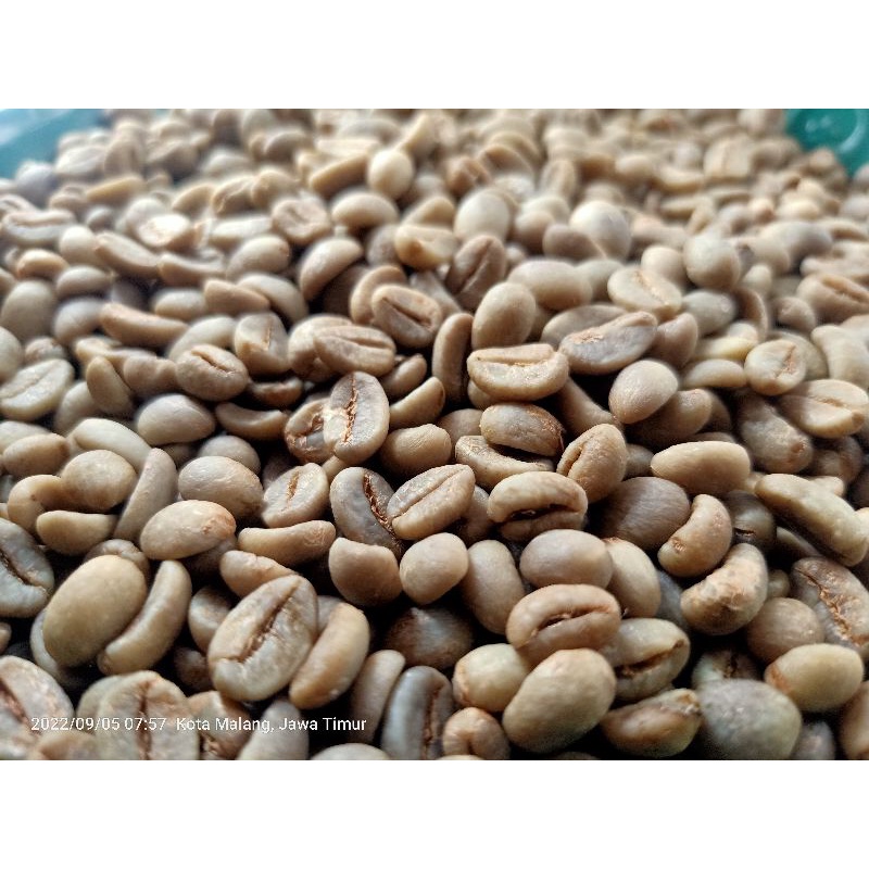 Jual Kopi Luwak Liar Green Bean 100g | Shopee Indonesia Jual Kopi Luwak Liar Green Bean 100g | Shopee Indonesia