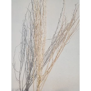 Jual Ranting Kering Terlengkap & Harga Terbaru Agustus 2024 | Shopee ...