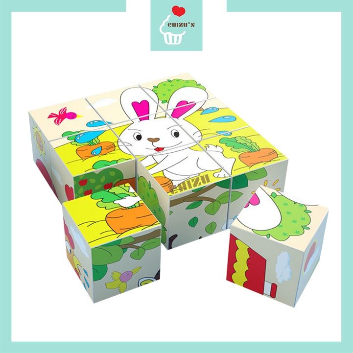 Jual Six Sided Cube Puzzle 9 Pcs | Puzzel Kubus 6 Enam Sisi 6in1 9pcs ...