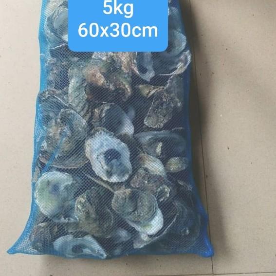 Jual media filter oyster shell kulit kerang cangkang tiram 5kg | Shopee ...
