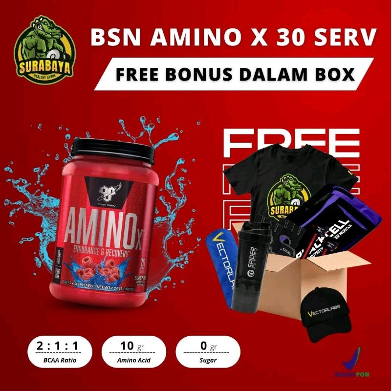 Jual BSN Amino X 30 Serving BCAA Amino-X Aminox Pre Workout Pre-Workout ...