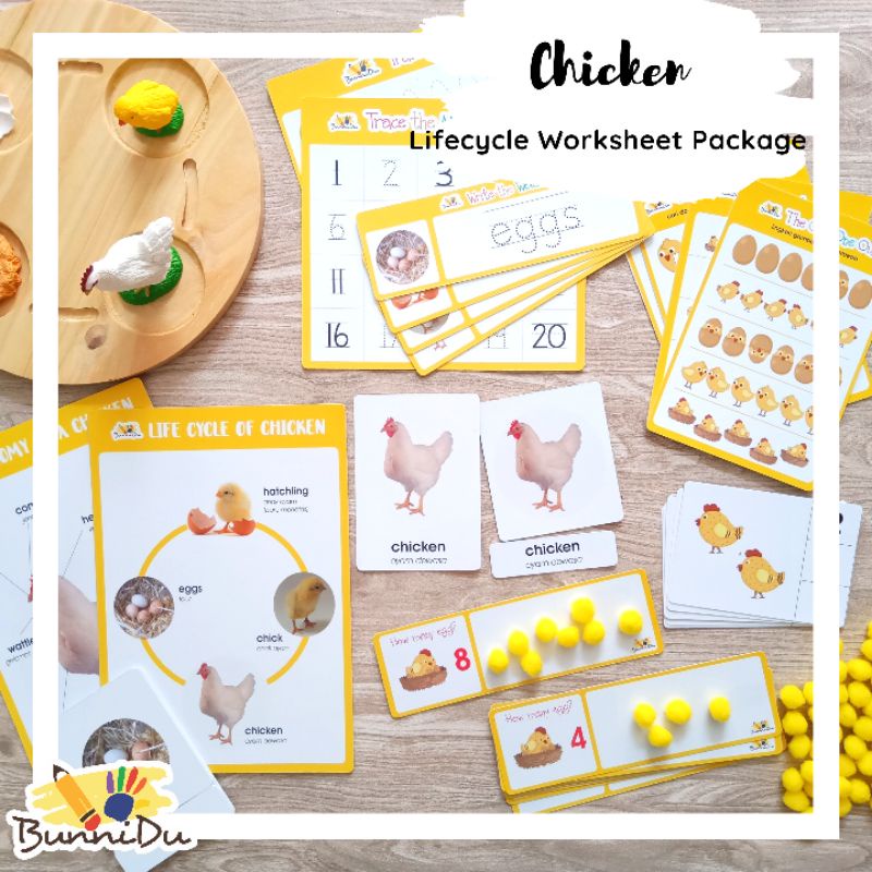 Jual Chicken Life Cycle | Siklus Hidup Ayam | Montessori Culture TANPA ...