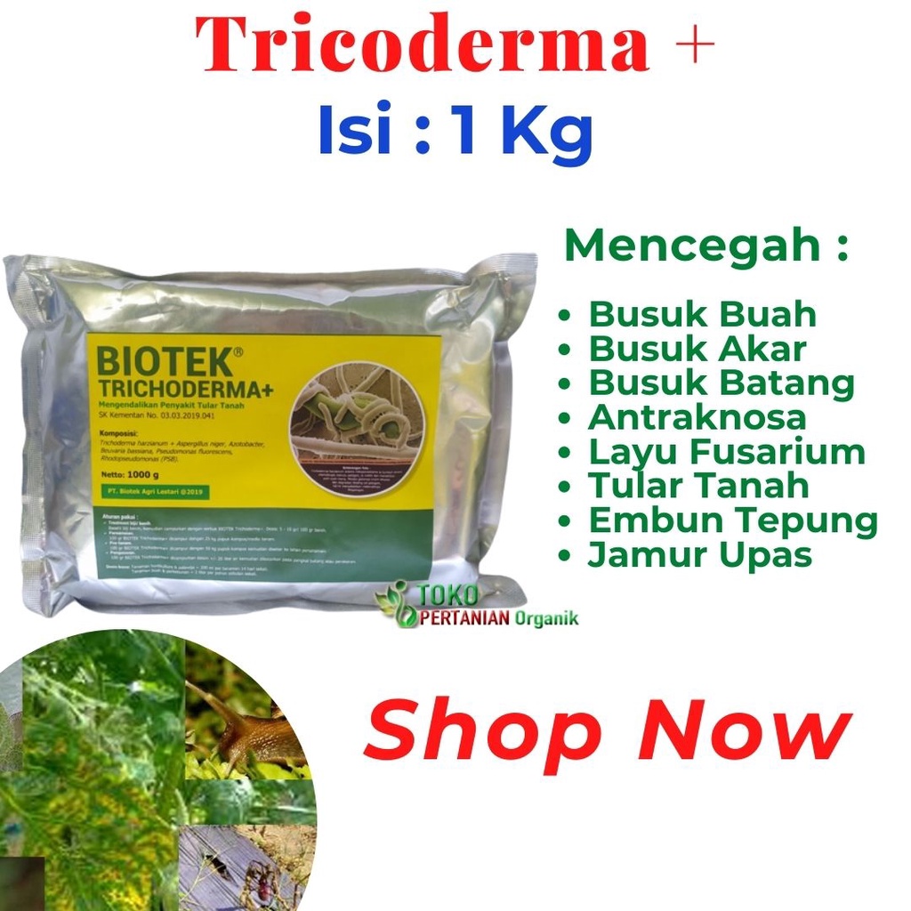 Jual Pupuk Penyakit Tanaman Karet, Trichoderma+ Cegah Busuk Akar Pada ...