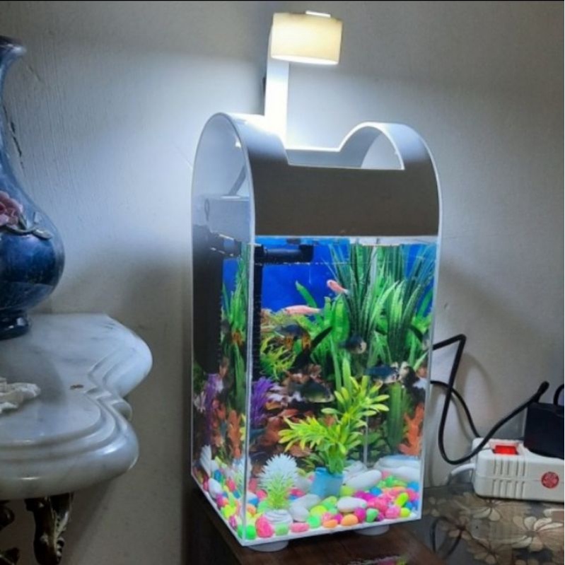 Jual aquarium mini akrilik ikan hias ikan kecil | Shopee Indonesia