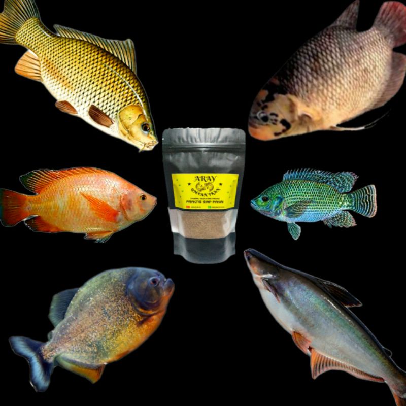 Jual Pelet Aray, Umpan Aray Racikan Halus Siap Pakai - Umpan Ikan Mas, Ikan Gurame, Ikan Bawal ...