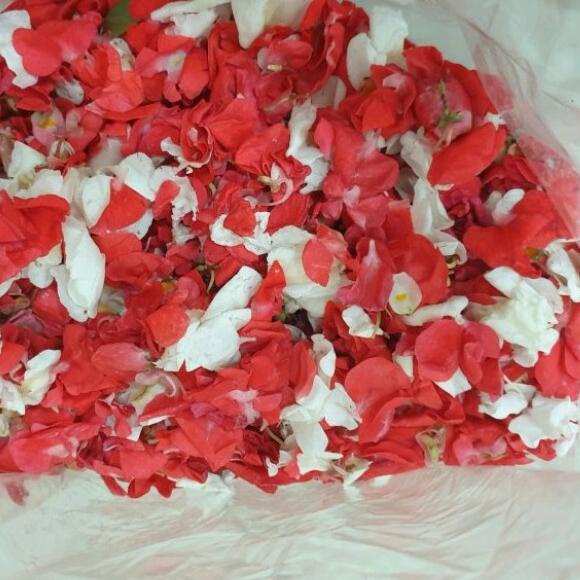 Jual Bunga Tabur Makam Untuk Pemakaman Ziarah Asli Fresh | Shopee Indonesia