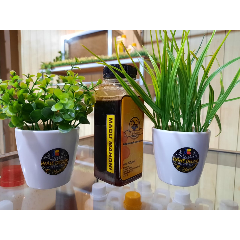 Jual Madu Murni Asli Bunga Pohon Mahoni 300g | Shopee Indonesia