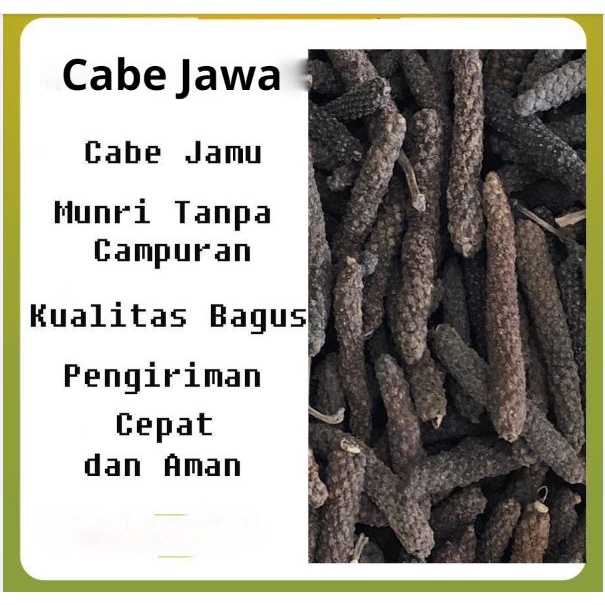Jual Cabe Jawa Isi 50 Gram Kualitas Bagus / Cabe Jamu / Lempuyang ...