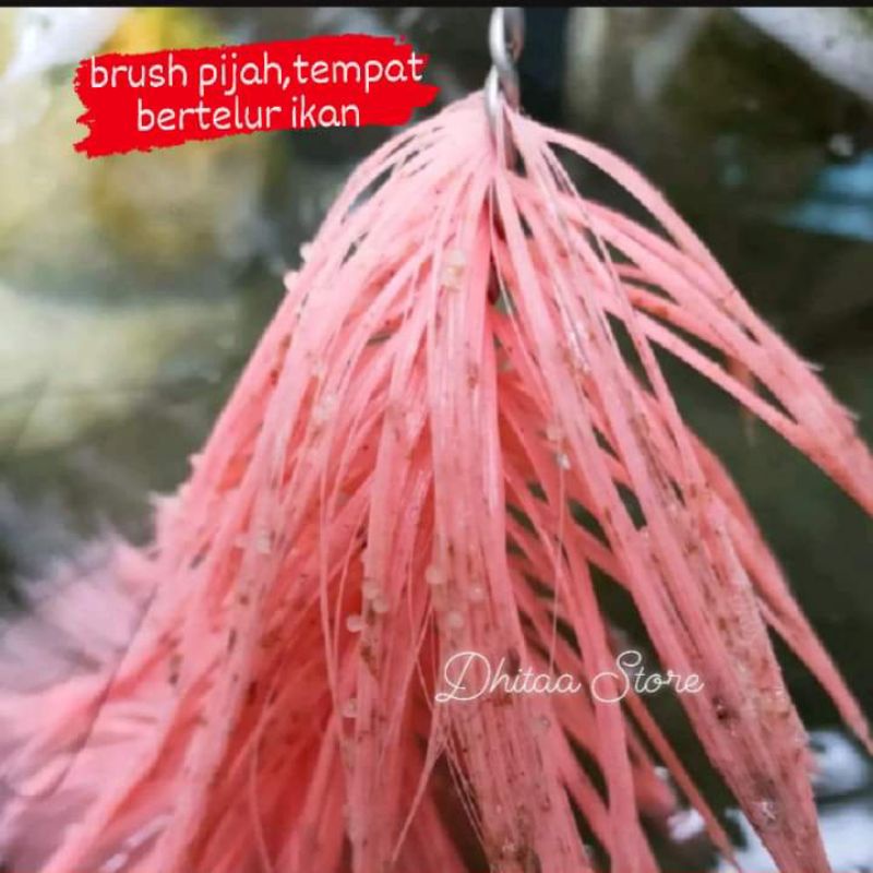 Jual brush pijah/kakaban tempat bertelur ikan koi spawning brush ...