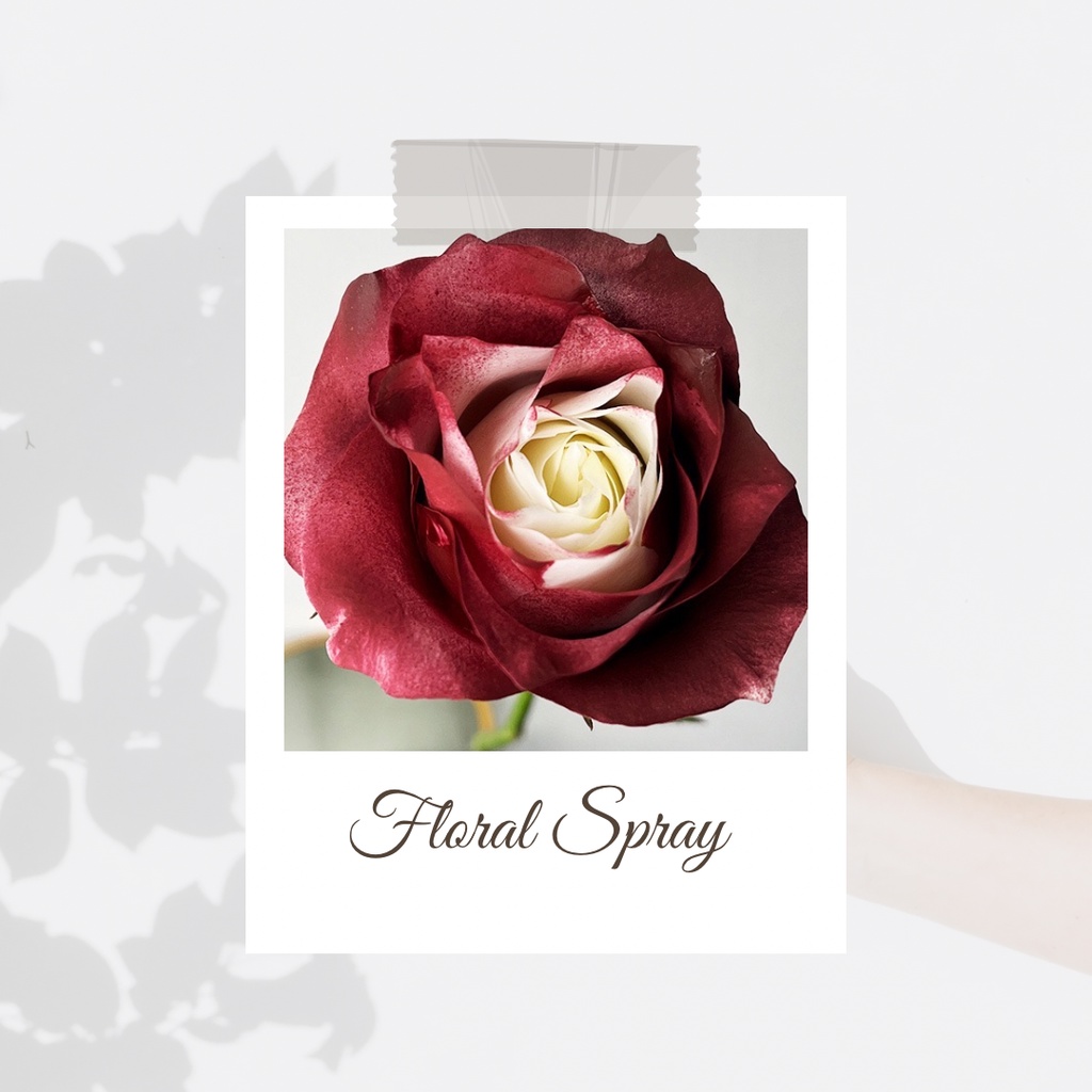 Jual FLORAL COLOR SPRAY PEWARNA CAT BUNGA DESIGN MASTER | Shopee Indonesia