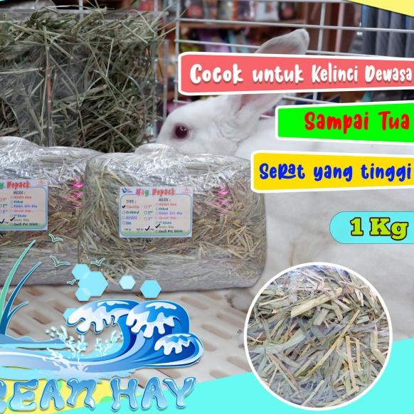 Jual TIMOTHY HAY OCEAN HAY 1kg pakan kelinci guinea pig/rabbit food ...