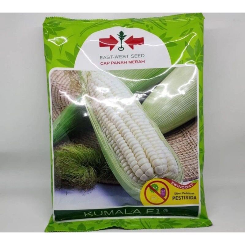 Jual Benih Jagung Ketan Kumala f1 isi 250 gram | Shopee Indonesia